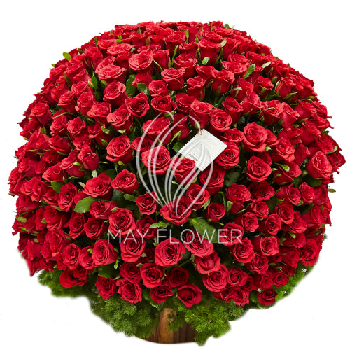 500 Red Roses Bouquet – May Flower