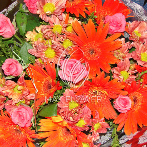 Fresh Flowers Hand Bunch Combo – May Flower