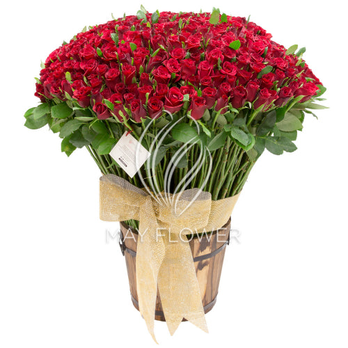 300 Red Roses Bouquet – May Flower