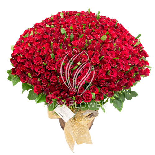 300 Red Roses Bouquet – May Flower