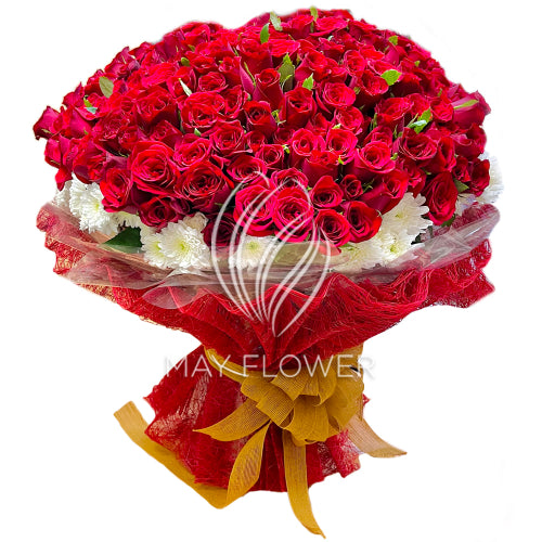300 Red Roses Hand Bunch – May Flower